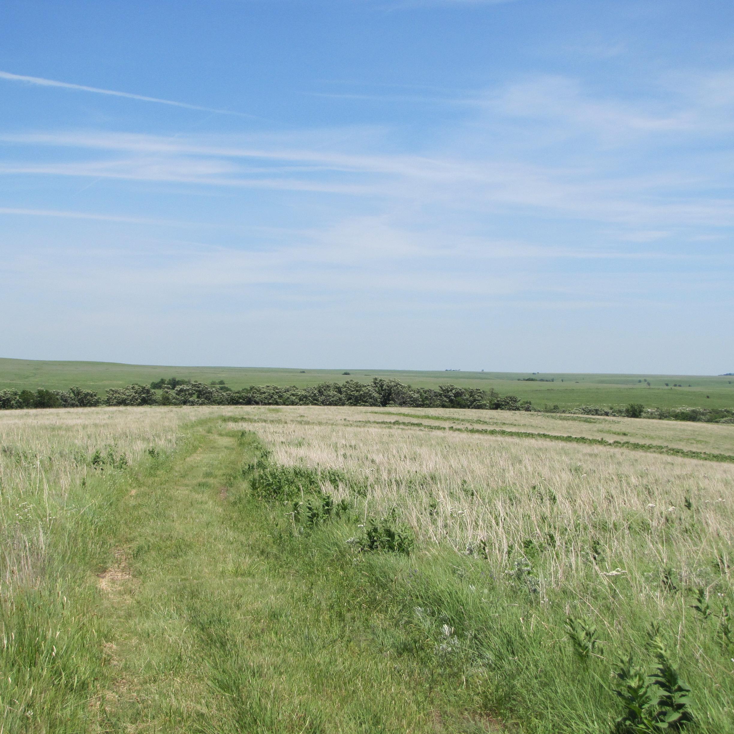 Take 12 to West Branch: An Adventure Through the Tallgrass Prairie ...