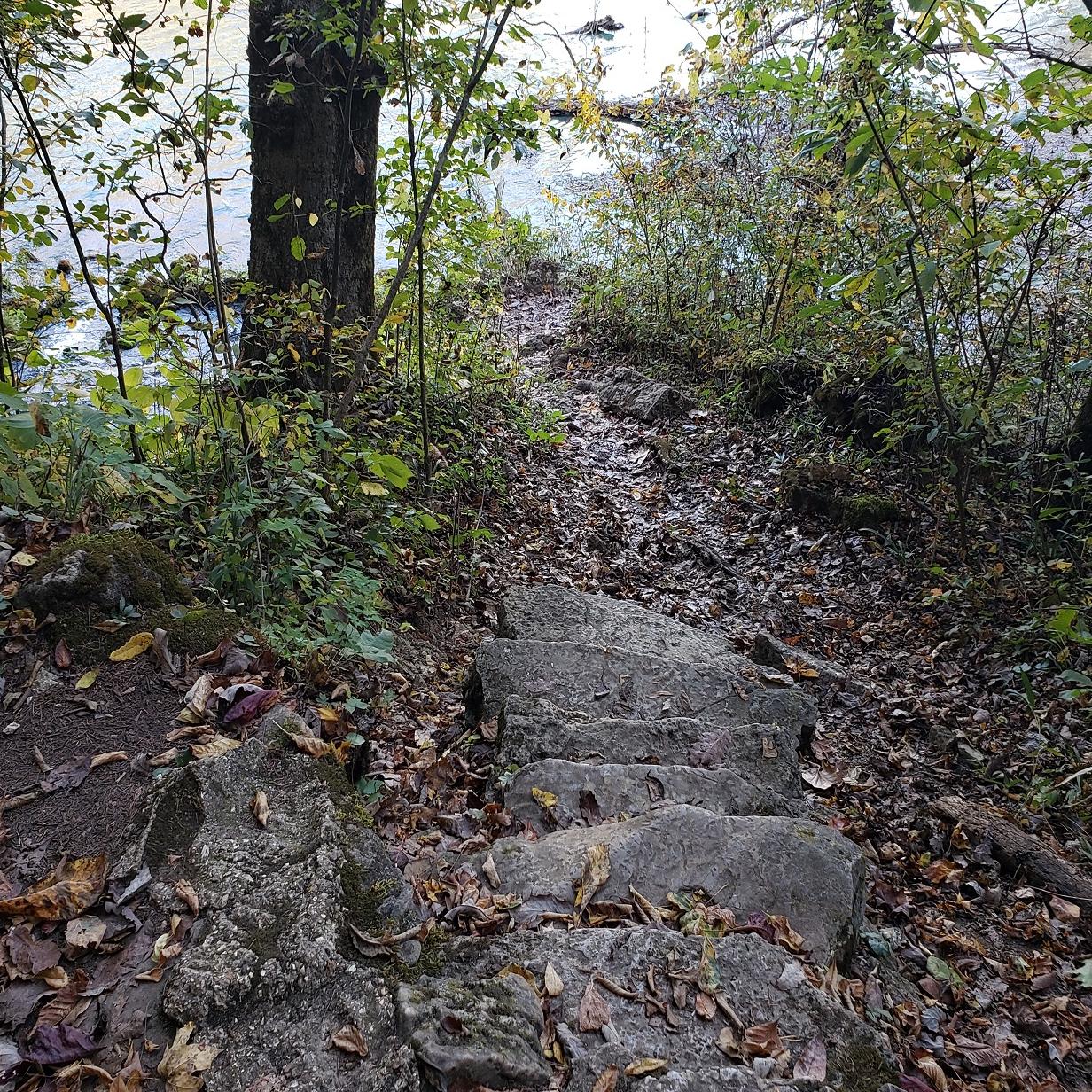 Embrace the Natural Wonders of Big Spring Branch Trail – MustDoThings.com