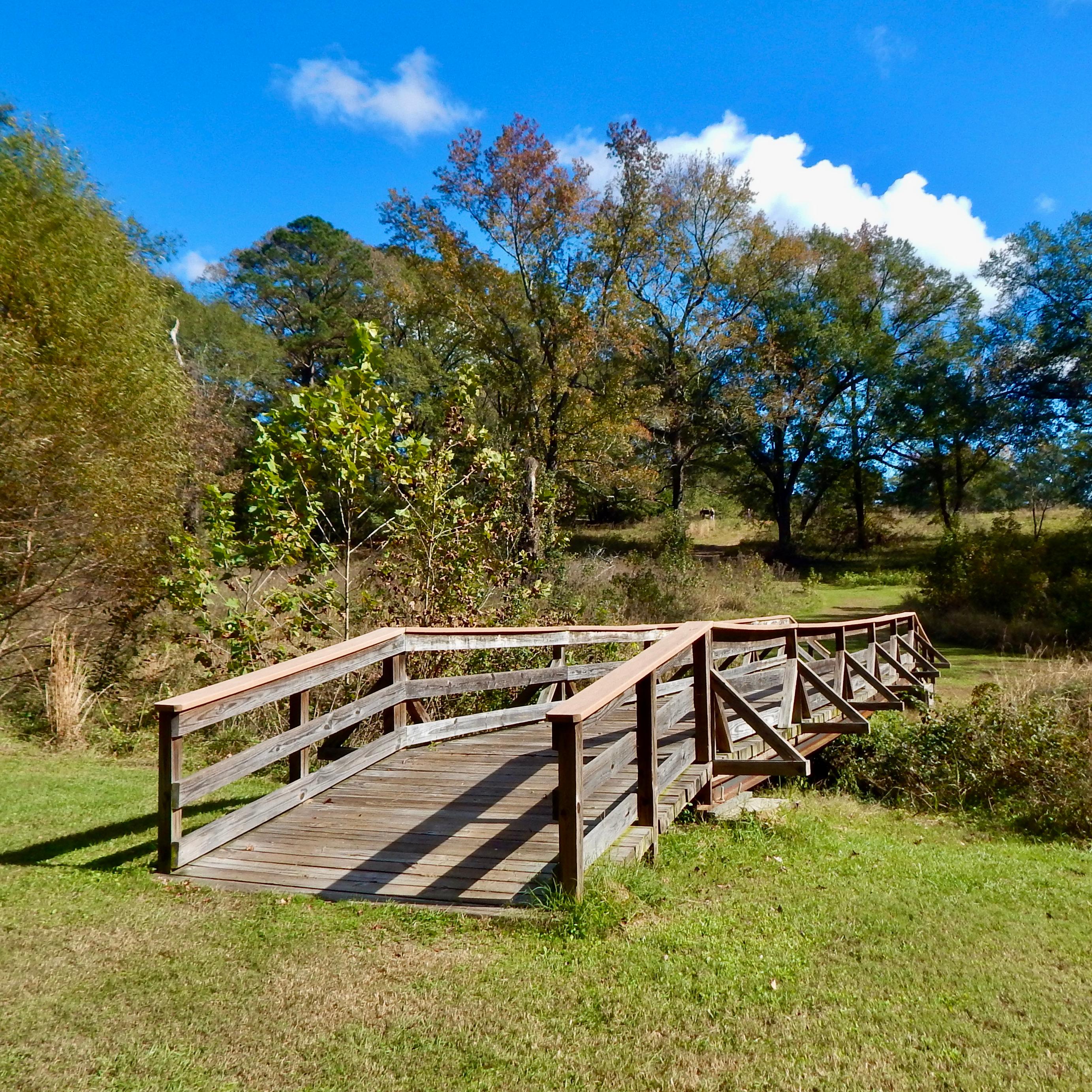 Exploring the Past on the Hitchiti Village Site Trail at Ocmulgee ...