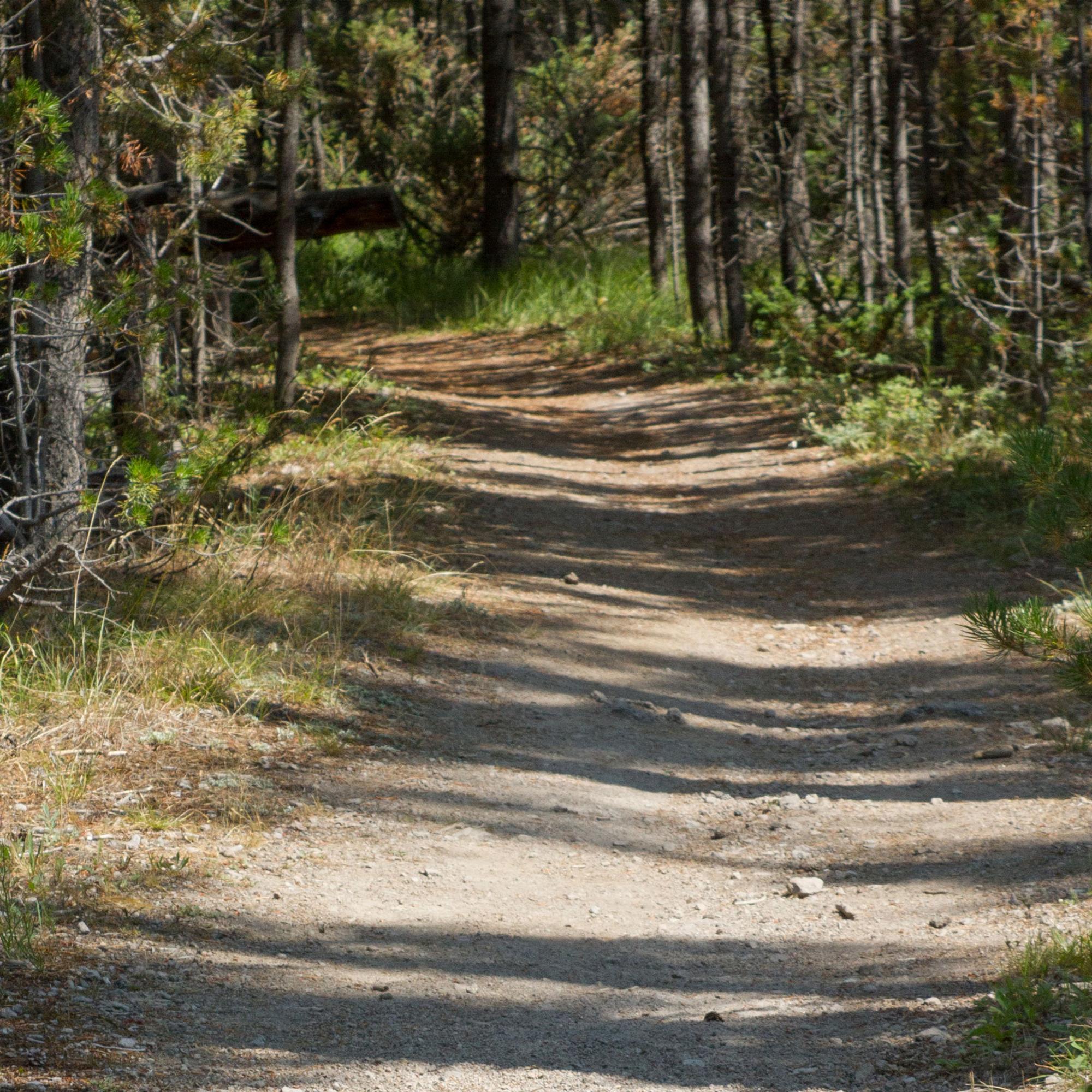 Day Hikes in the Madison Area (U.S. National Park Service)