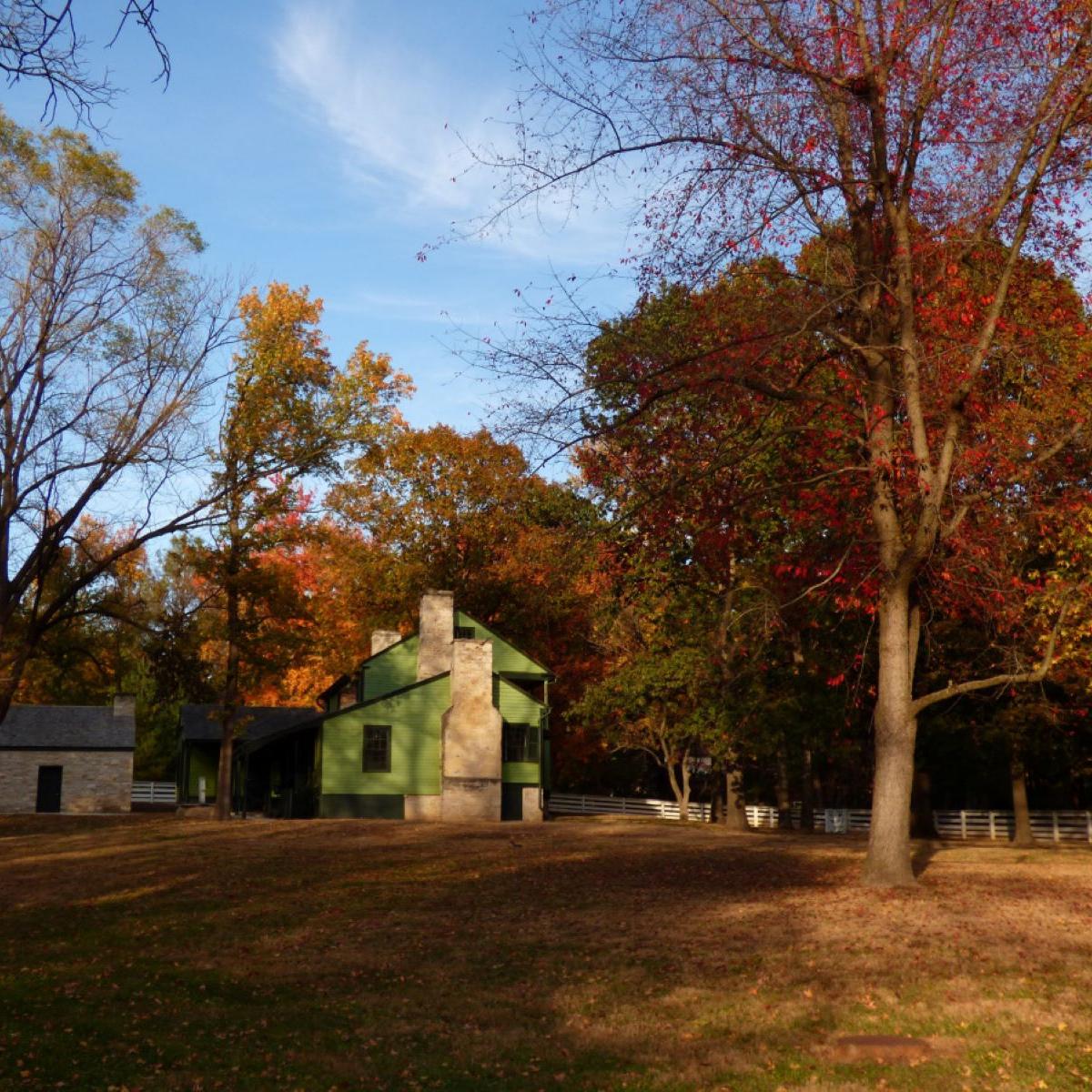 Discover the Historic Trees of Ulysses S. Grant National Historic Site ...