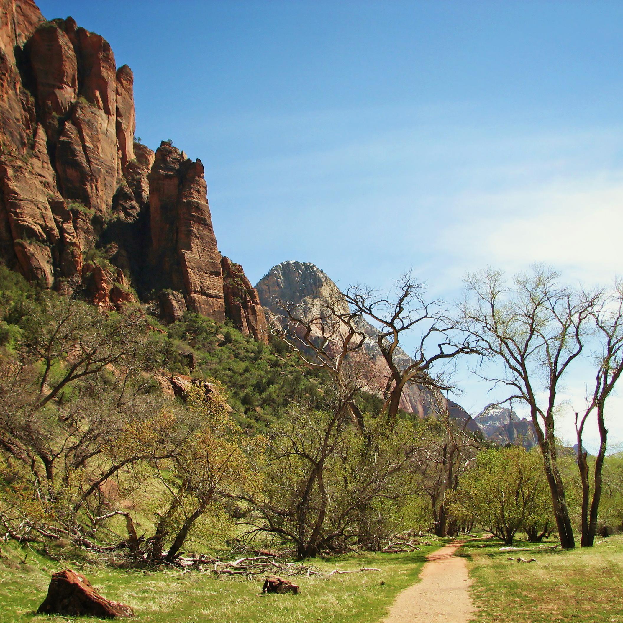 Discover the Enchanting Zion’s Grotto Trail: A Leisurely Trek through ...