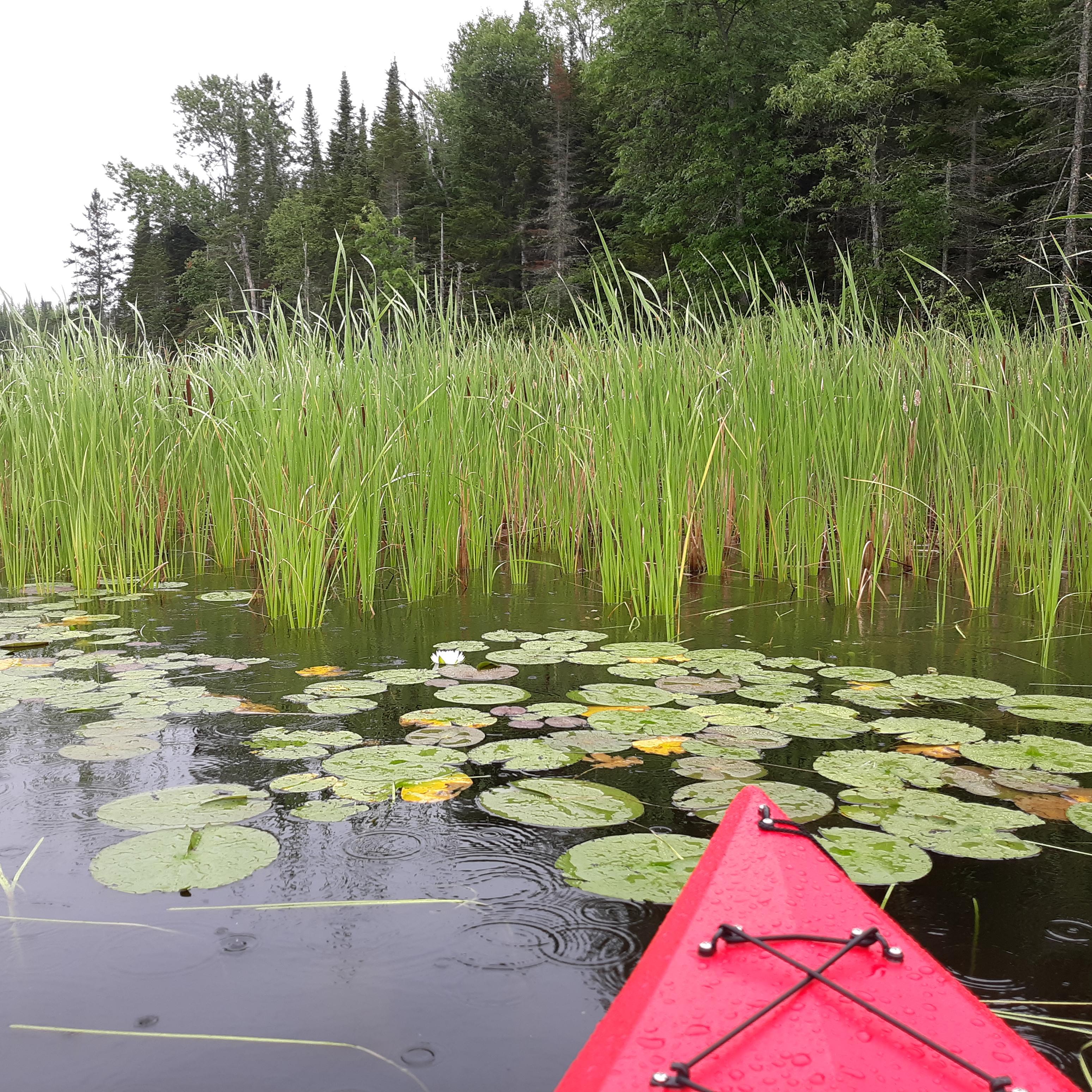 Paddle through Blind Ash Bay: A Serene Journey at Voyageurs National ...