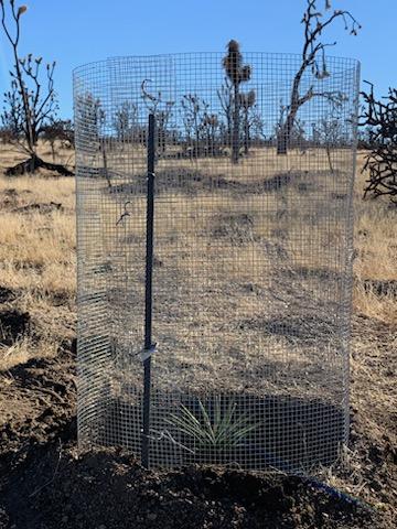 Event Details (U.S. National Park Service)