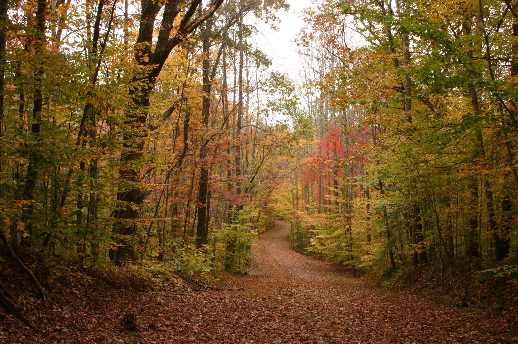 Event Details (U.S. National Park Service)