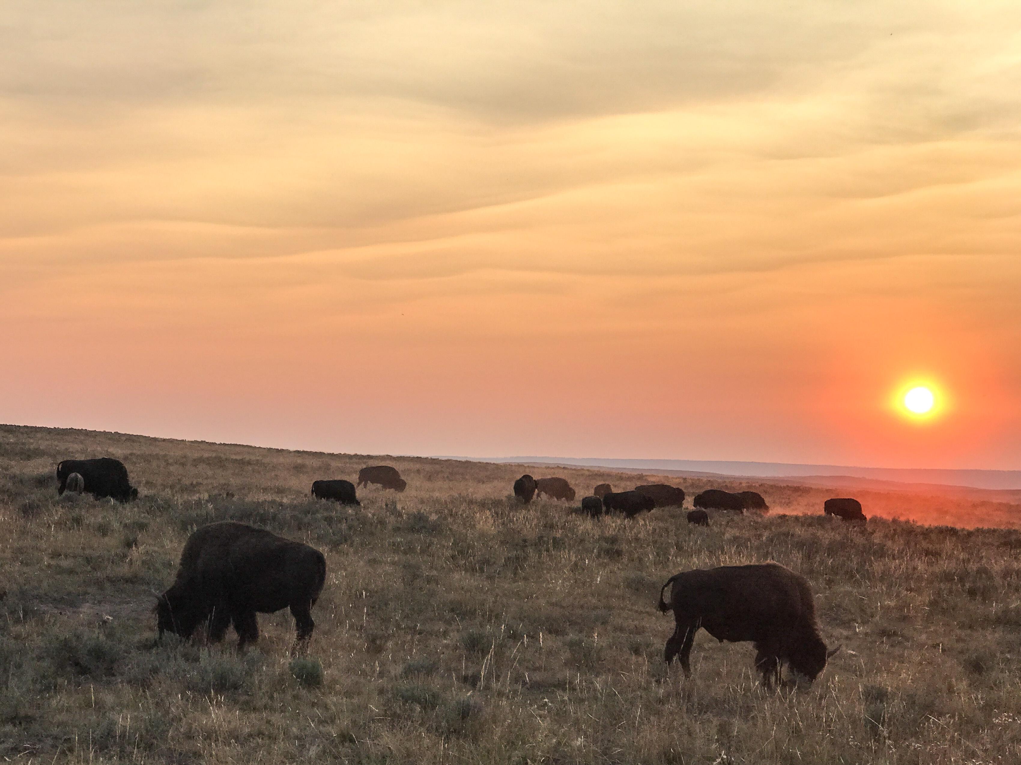 Event Details (U.S. National Park Service)