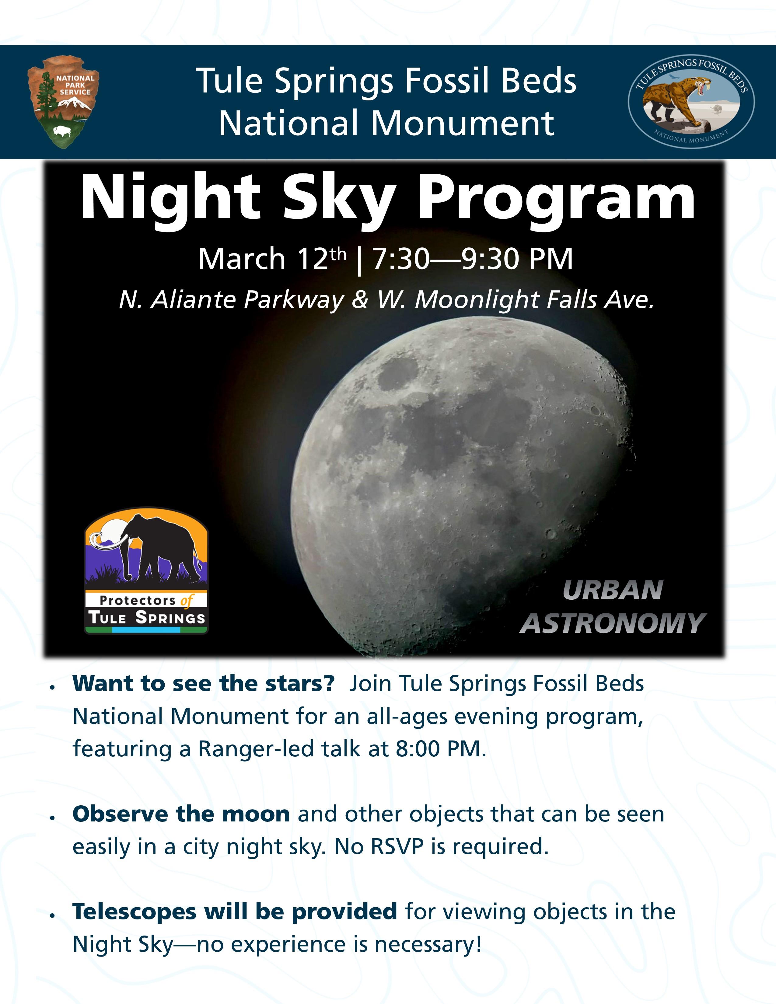 Astronomy Night Flyers