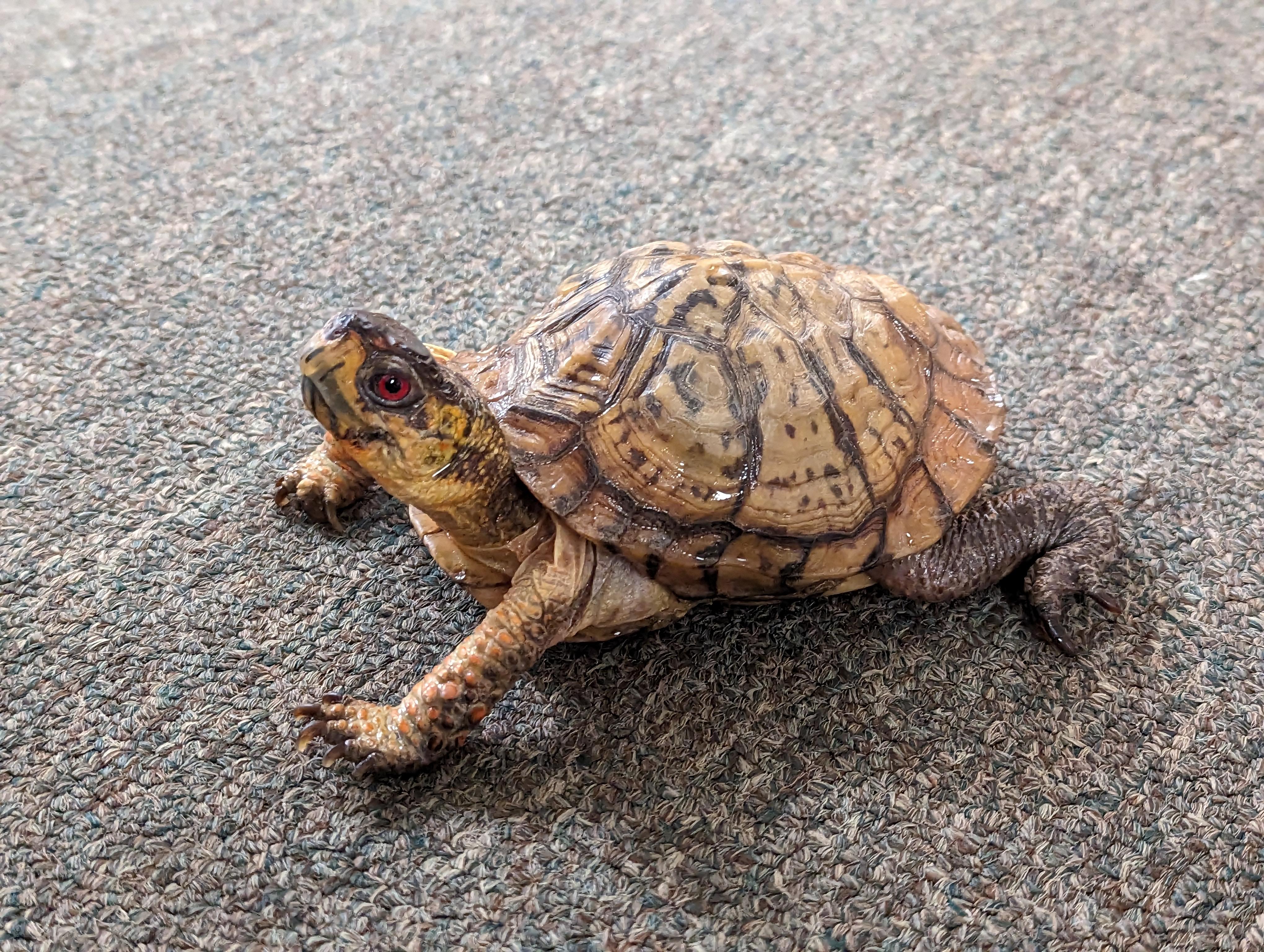 Event Details (U.S. National Park Service)