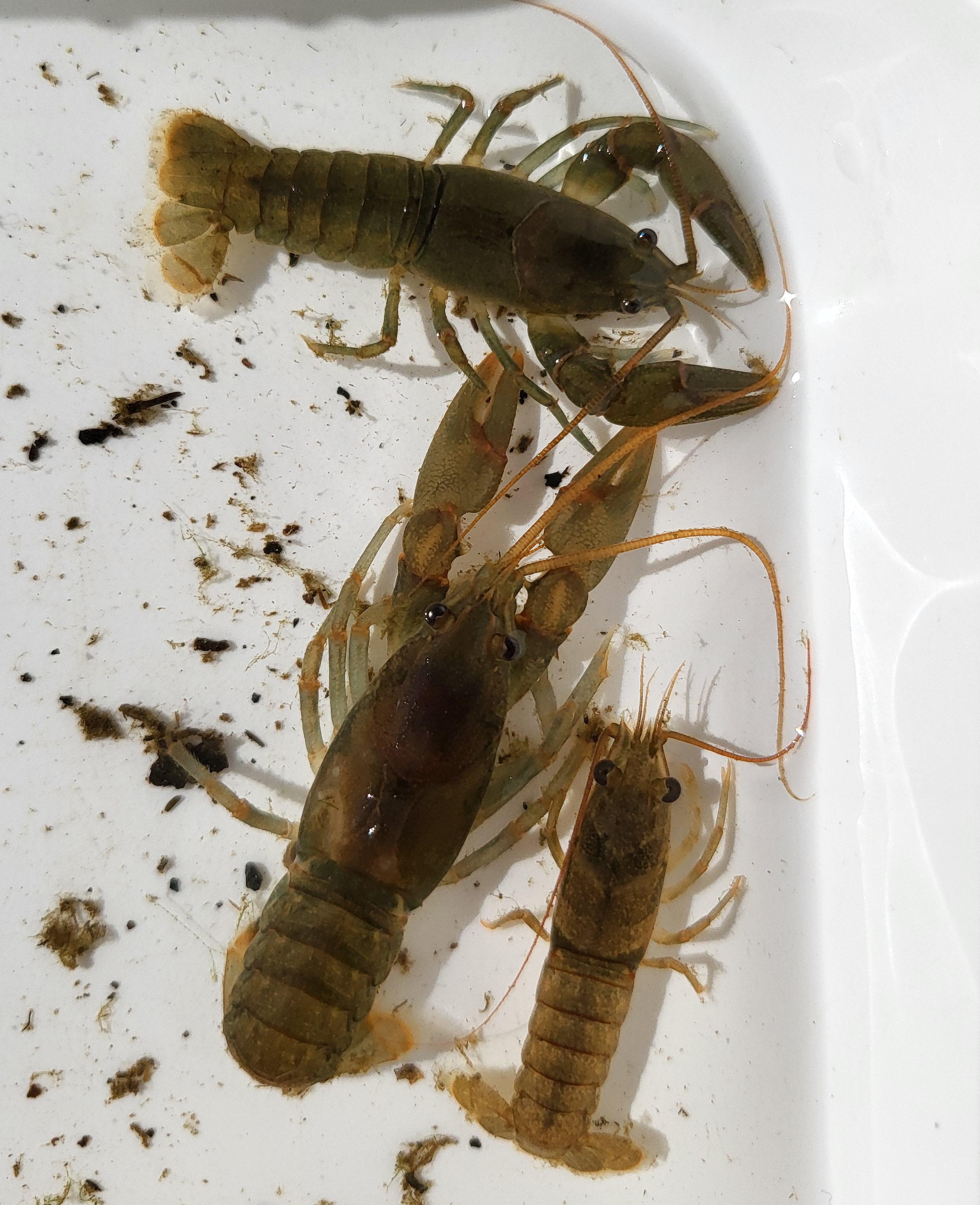 Event Details (U.S. National Park Service)