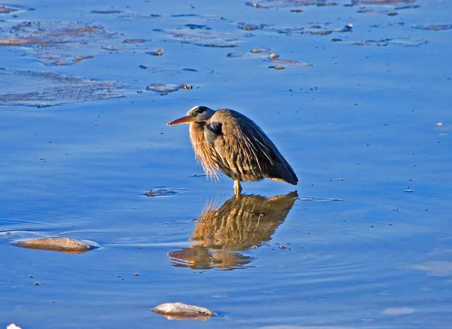 Event Details (U.S. National Park Service)