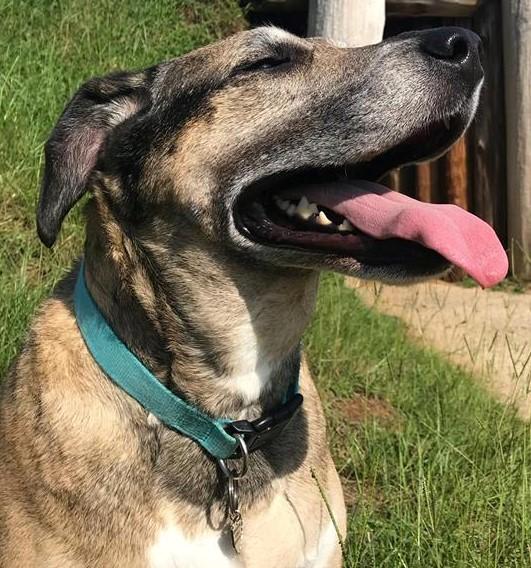 Event Details (U.S. National Park Service)