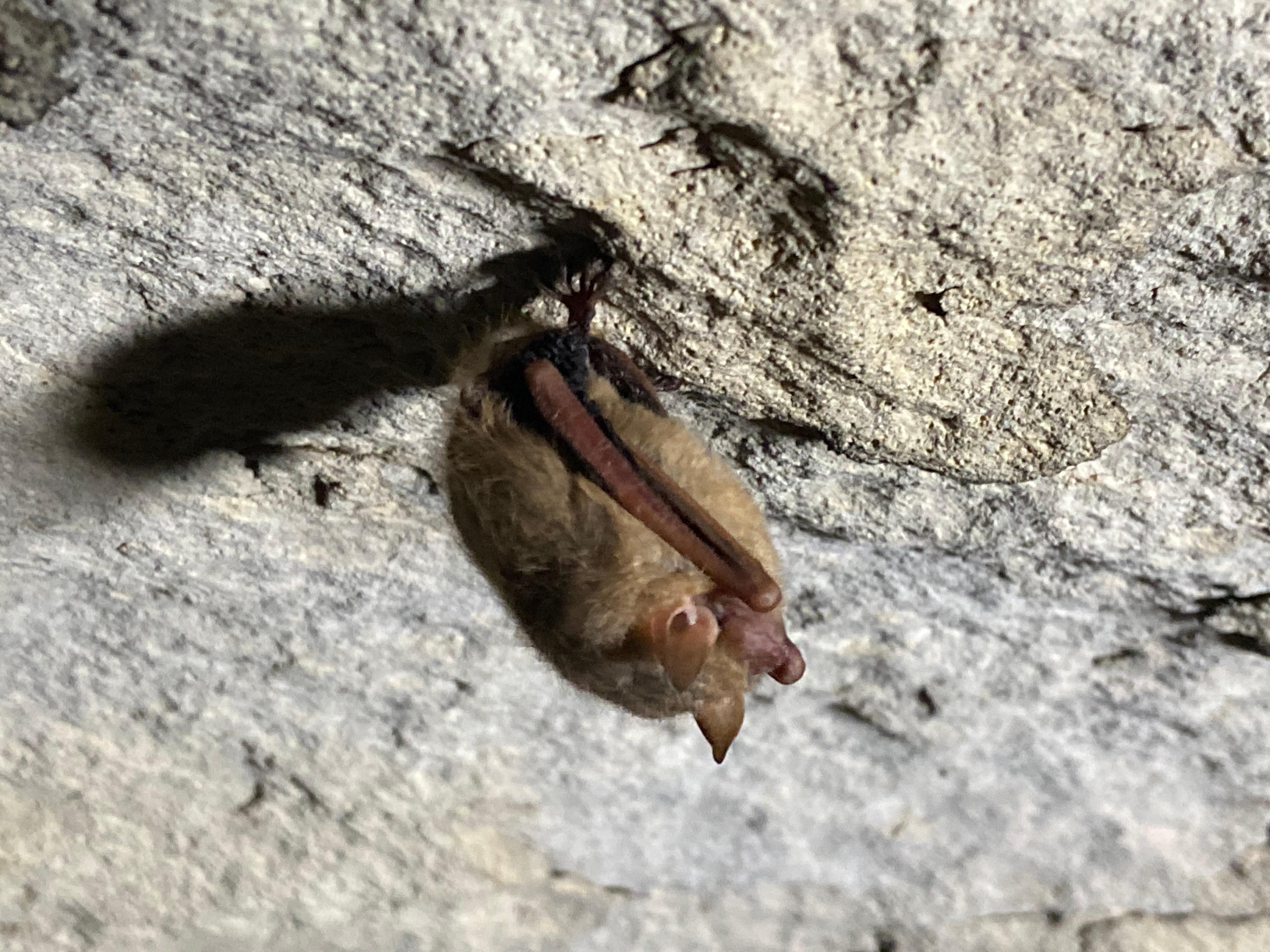 Event Details (U.S. National Park Service)