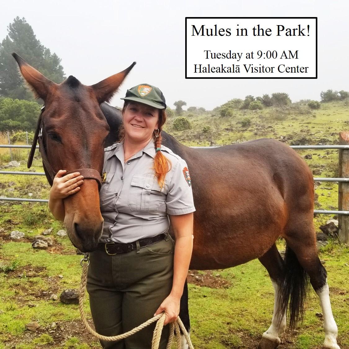 Event Details (U.S. National Park Service)