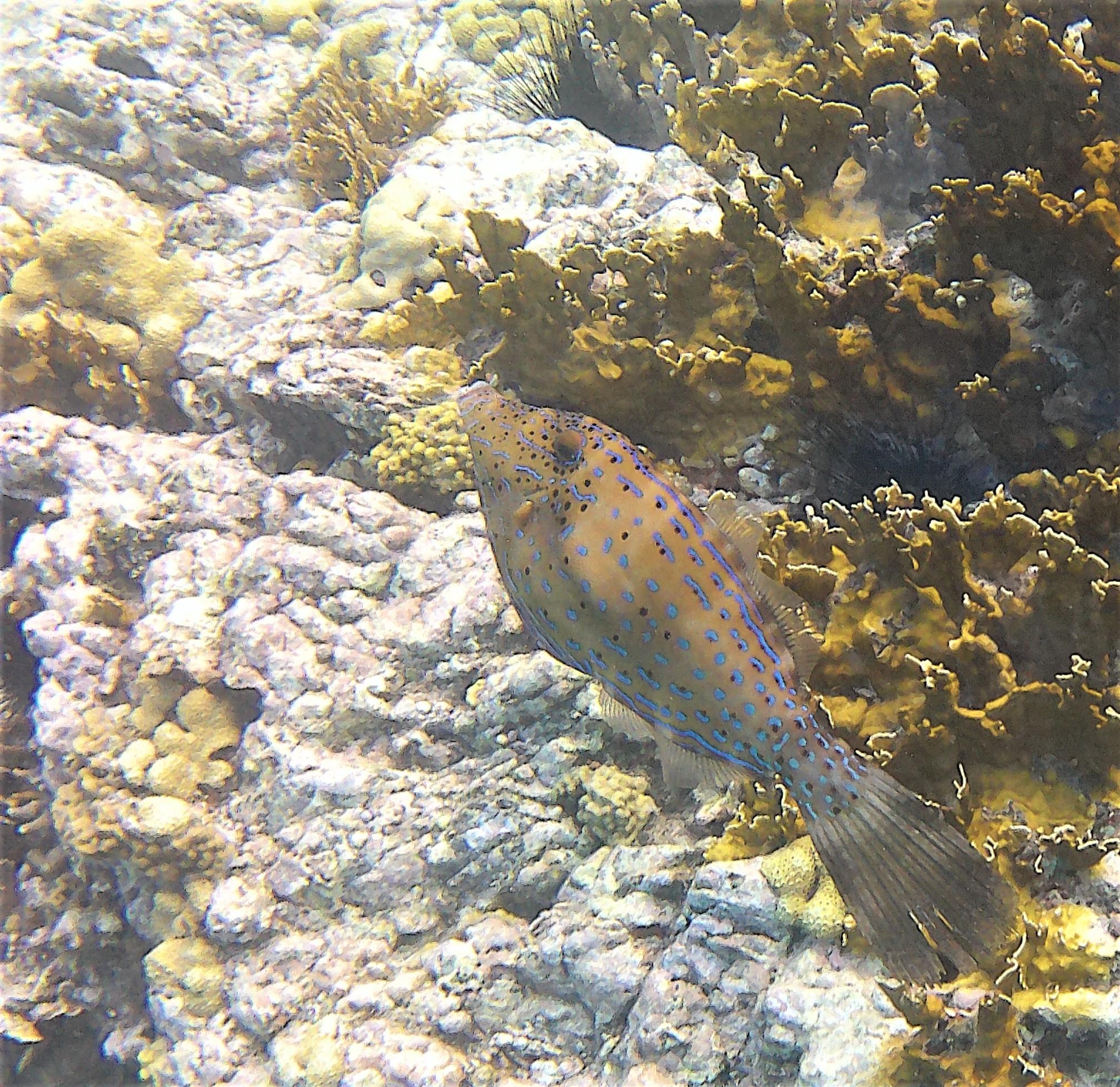 Event Details (U.S. National Park Service)