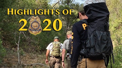 Annual Reports - Investigative Services (U.S. National Park Service)