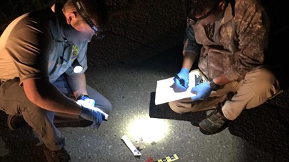 Investigative Services (U.S. National Park Service)