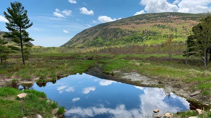 Bass Harbor Marsh - Acadia National Park (U.S. National Park Service)
