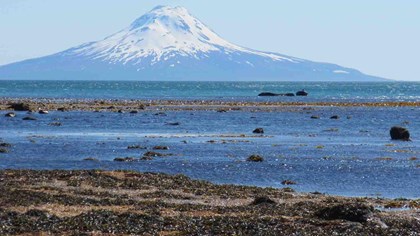 Coastal and Marine Ecosystems - Alaska Nature and Science (U.S ...