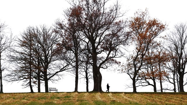 Science & Stewardship - Boston Harbor Islands National Recreation Area ...