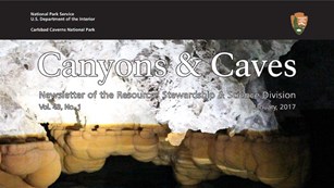 Learn About the Park - Carlsbad Caverns National Park (U.S. National ...