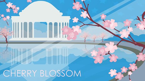 Cherry Blossom Festival (U.S. National Park Service)