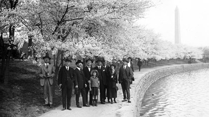 Cherry Blossom Festival (U.S. National Park Service)