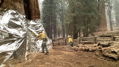 Climate Change (U.S. National Park Service)