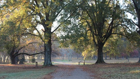 Cowpens National Battlefield (U.S. National Park Service)