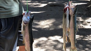 Crater Lake Research - Crater Lake National Park (U.S. National Park ...
