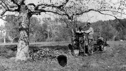 Historic Orchards and Fruit Trees - Cultural Landscapes (U.S. National ...