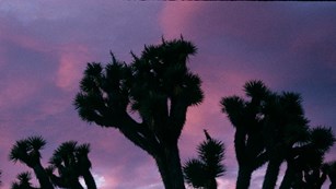 Environmental Factors - Death Valley National Park (U.S. National Park ...