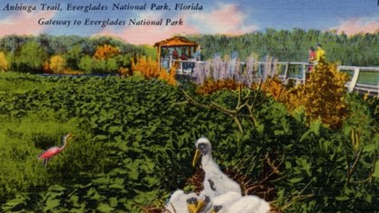 Learn About the Park - Everglades National Park (U.S. National Park ...