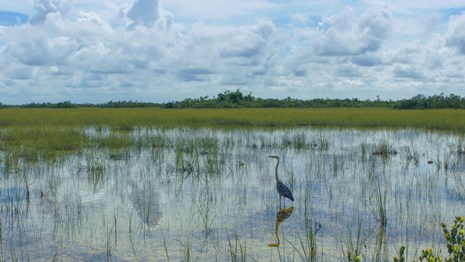 Everglades National Park (U.S. National Park Service)