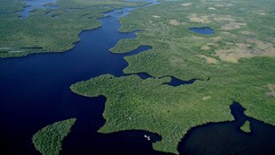 Science & Research - Everglades National Park (U.S. National Park Service)