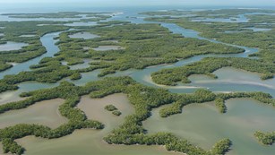 SFNRC Publications - Everglades National Park (U.S. National Park Service)