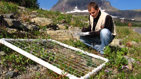Science & Research - Glacier National Park (U.S. National Park Service)