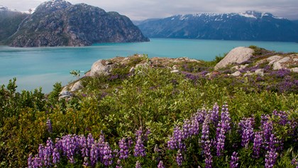 Glacier Bay National Park & Preserve (U.S. National Park Service)
