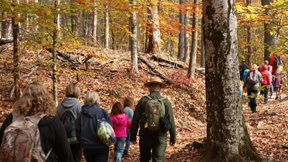 Great Smoky Mountains National Park (U.S. National Park Service)
