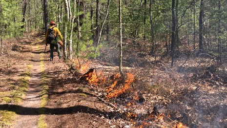 Great Lakes Fire Management Zone - Indiana Dunes National Park (U.S ...