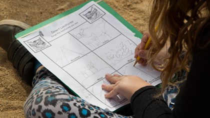 Education - Joshua Tree National Park (U.S. National Park Service)