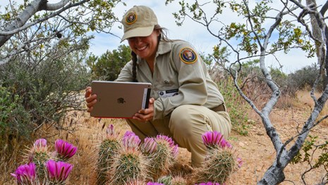 Education - Joshua Tree National Park (U.S. National Park Service)