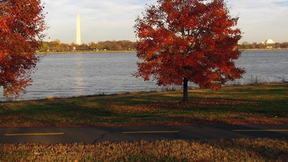 LBJ Memorial Grove on the Potomac (U.S. National Park Service)