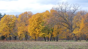 The Battle Road Trail - Minute Man National Historical Park (U.S ...