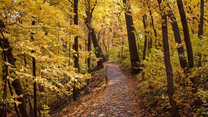 Mississippi National River & Recreation Area (U.S. National Park Service)