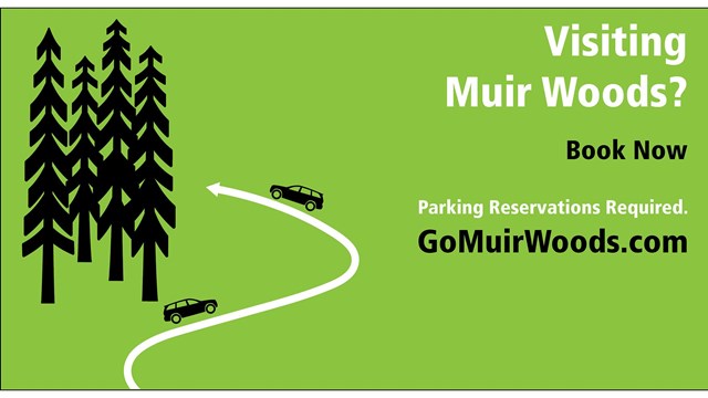 Muir Woods National Monument (U.S. National Park Service)