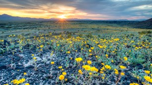 About the System - National Trails System (U.S. National Park Service)