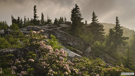 National Natural Landmarks (U.S. National Park Service)