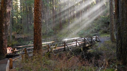 Visiting the Sol Duc Valley - Olympic National Park (U.S. National Park ...