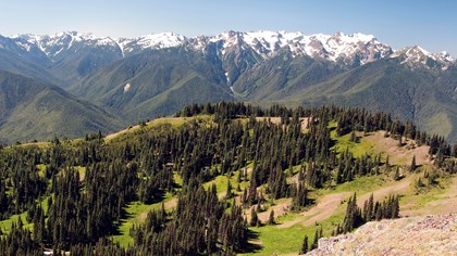 Visiting Hurricane Ridge - Olympic National Park (U.S. National Park ...