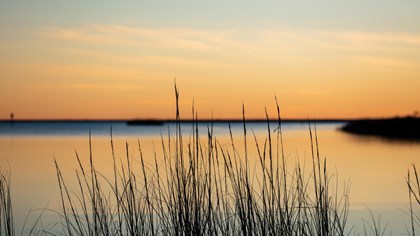 Park Science (U.S. National Park Service)